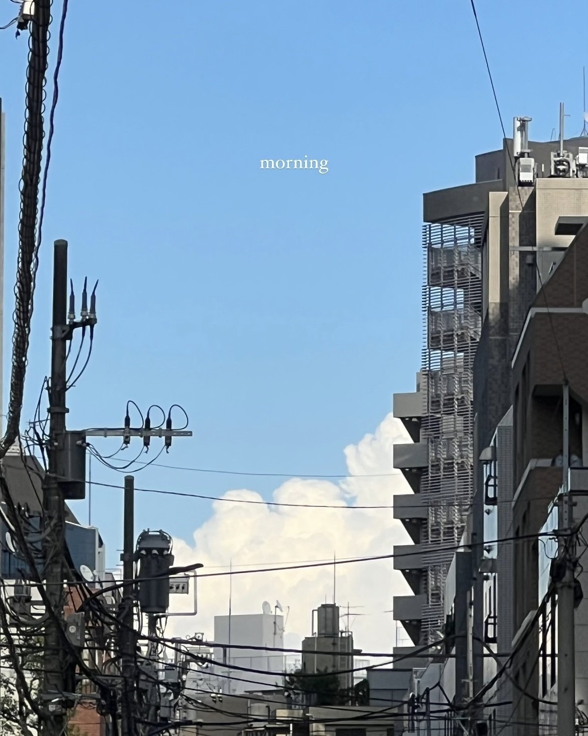 22歳、マーケティング実績を作りたい！から始まったインターン活動｜creatip_jp