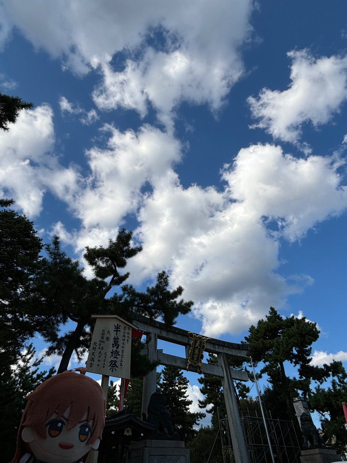 京都へ旅マス！JR東海の推し旅してきた！｜ムール貝