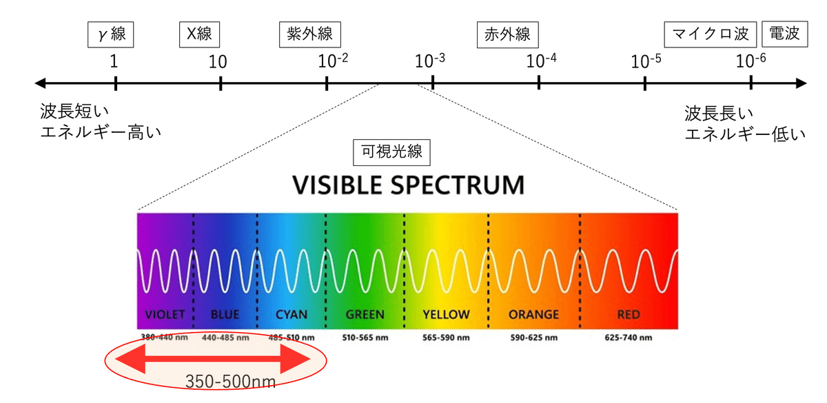 Off Flavor入門〜㉚日光臭｜Shiro Yamada