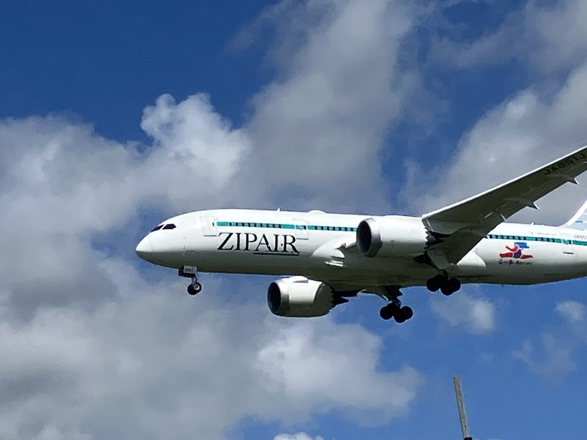 JALグループLCC『ZIPAIR』名前の由来＆コーポレートカラーに込められた思い《企業研究》｜【CA.jp】CA/GSオンラインスクール