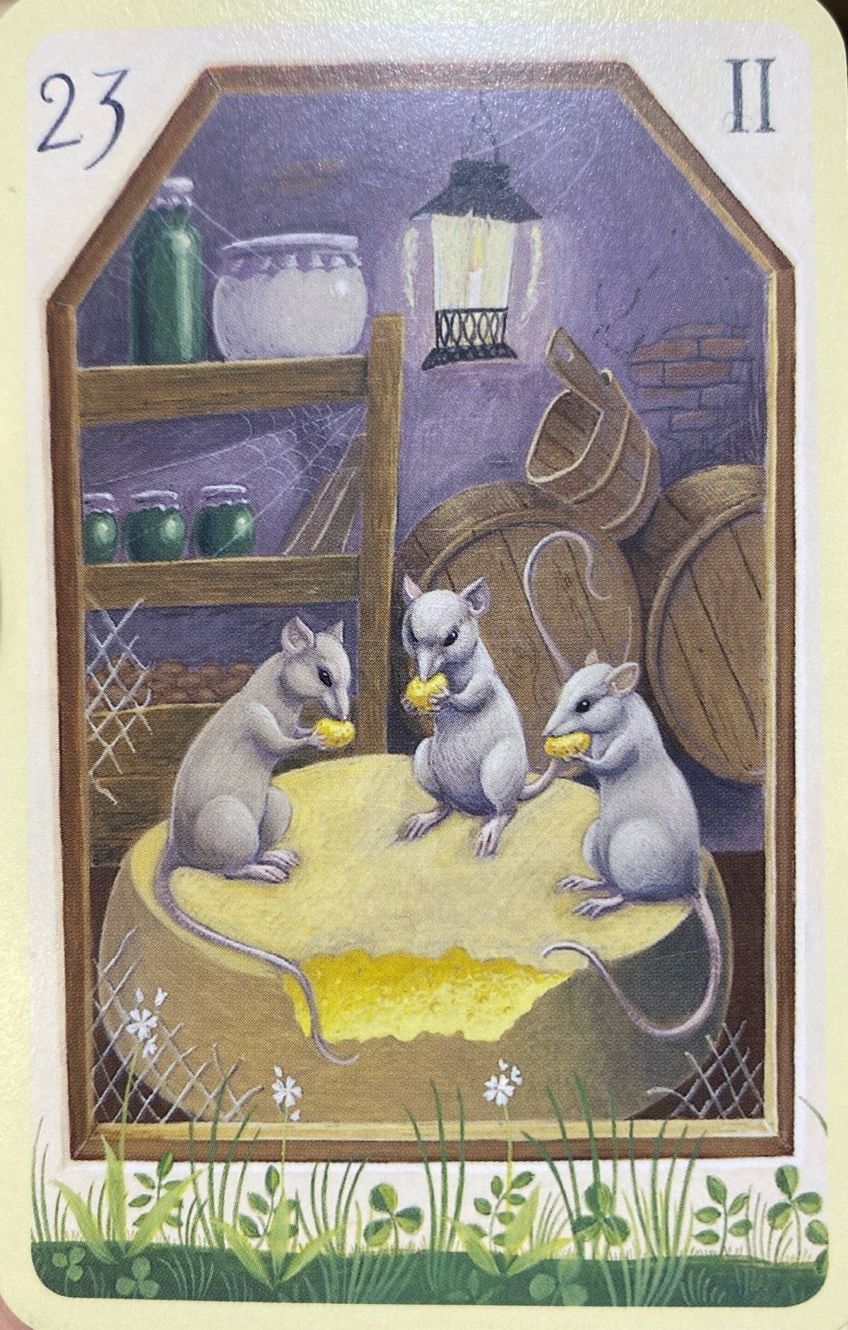 今週占い（10/14~20)【恋愛運】｜cleansoul｜mari