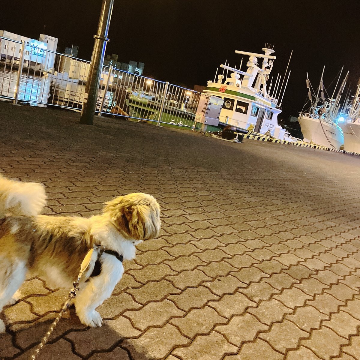 【今週の946BANYA】2023年10月11日｜Hokkaido Design Code