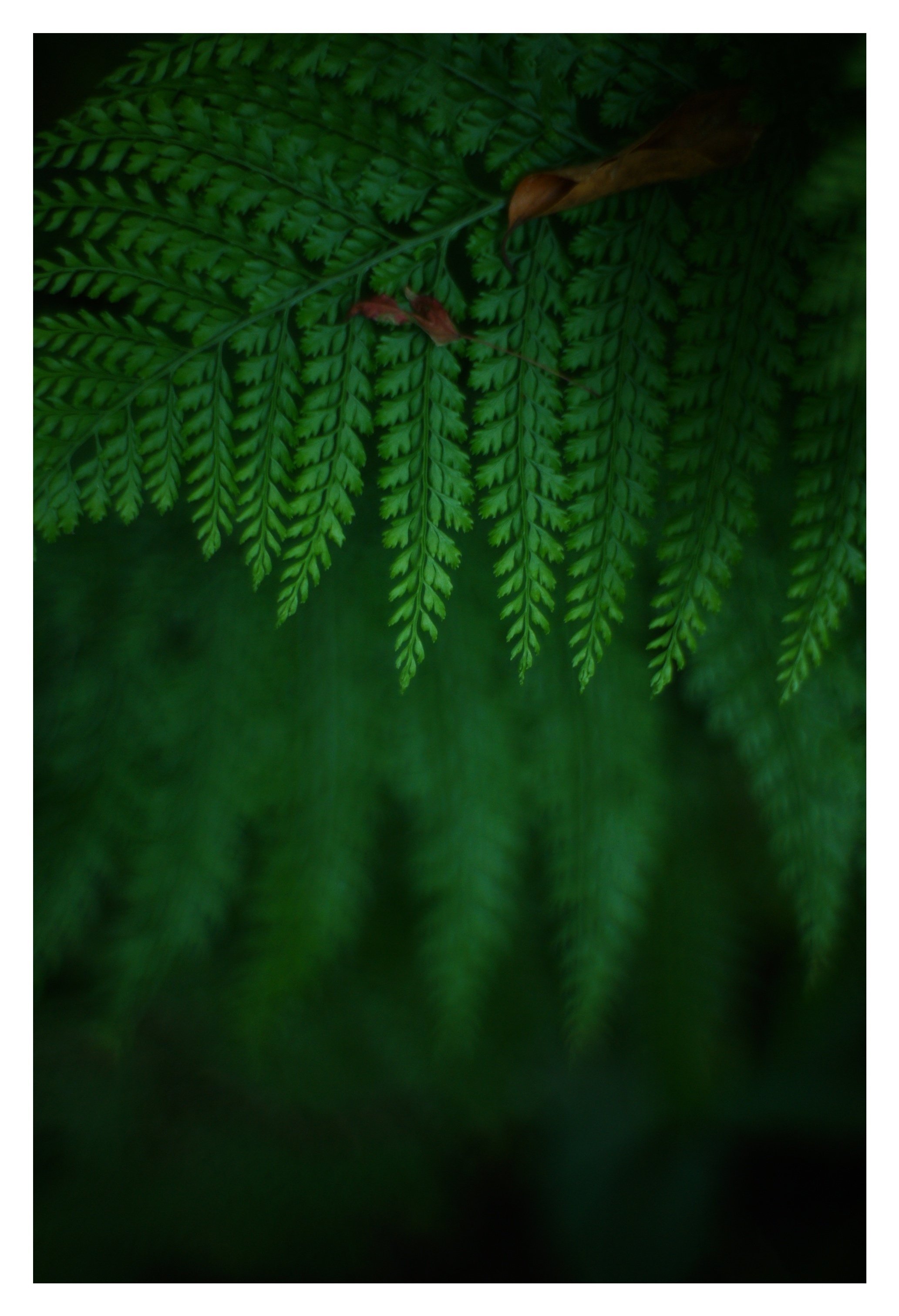 アーカイブ｜shin ikegami