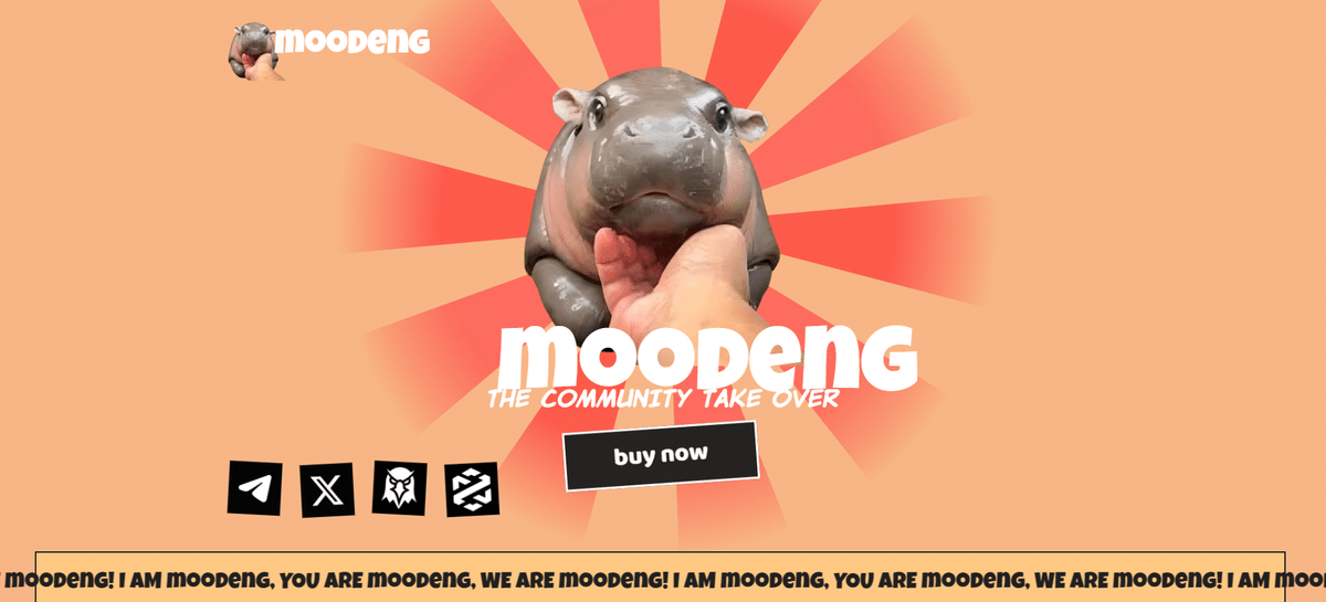仮想通貨MOODENGとは？特徴や買い方、2種類のムーデンの違いを解説【カバミーム】｜がく