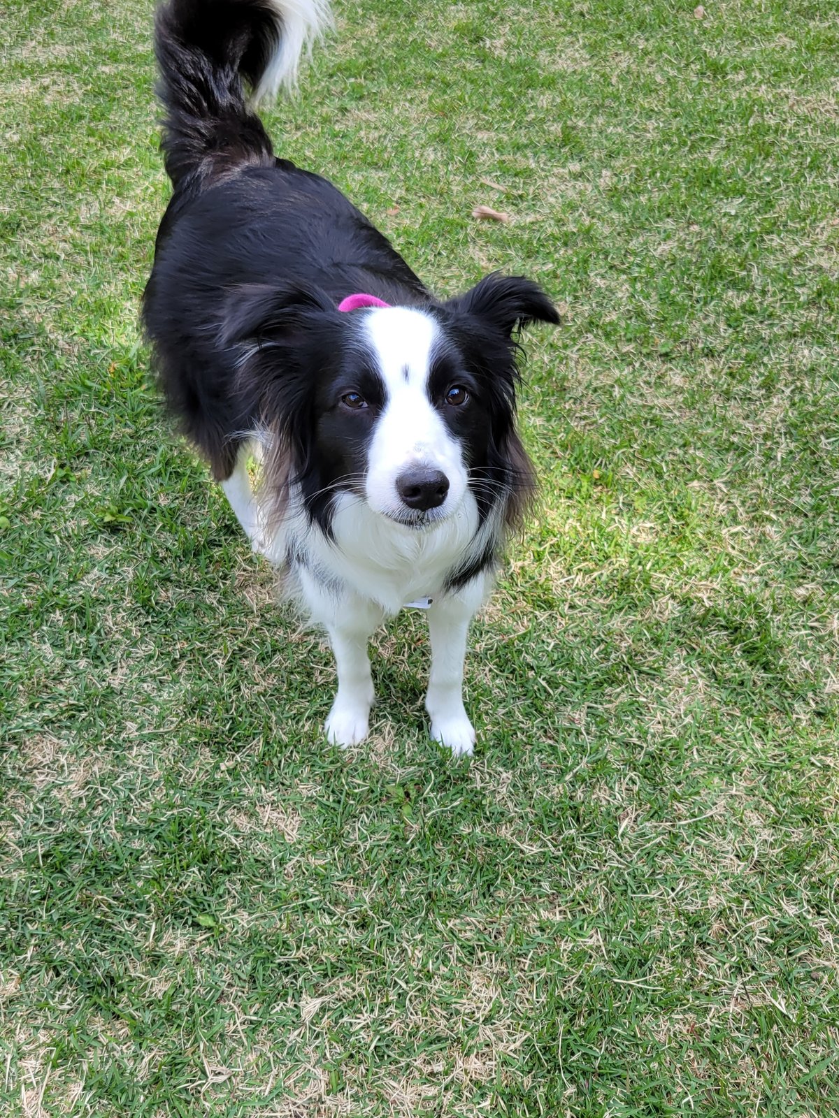 はじめてのnote｜cran