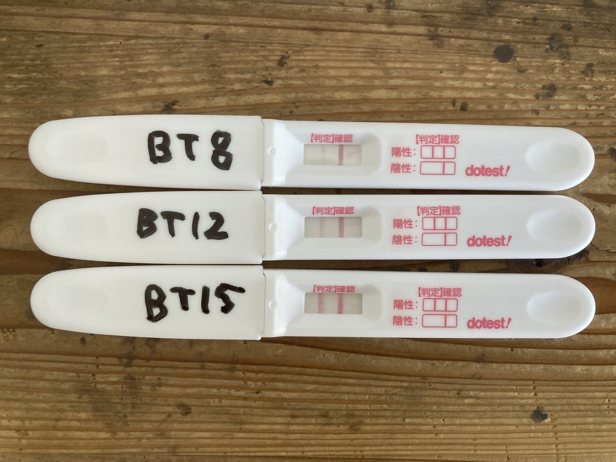 BT15検査薬と胎嚢確認｜mykey