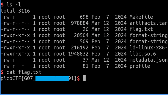 Writeup: picoCTF "format string" ｜M.Yoshi