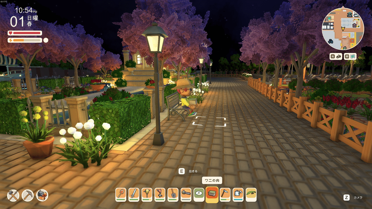 DINKUM日記5（おいでよオーストラリアの森）｜Nyle