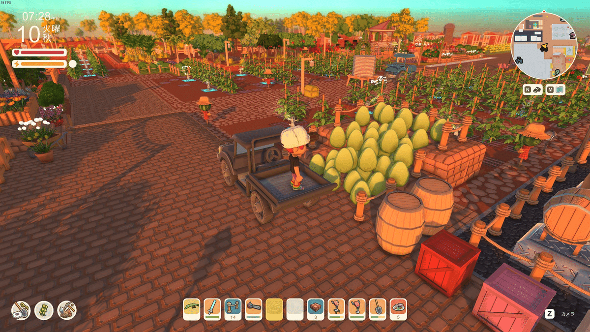 DINKUM日記5（おいでよオーストラリアの森）｜Nyle