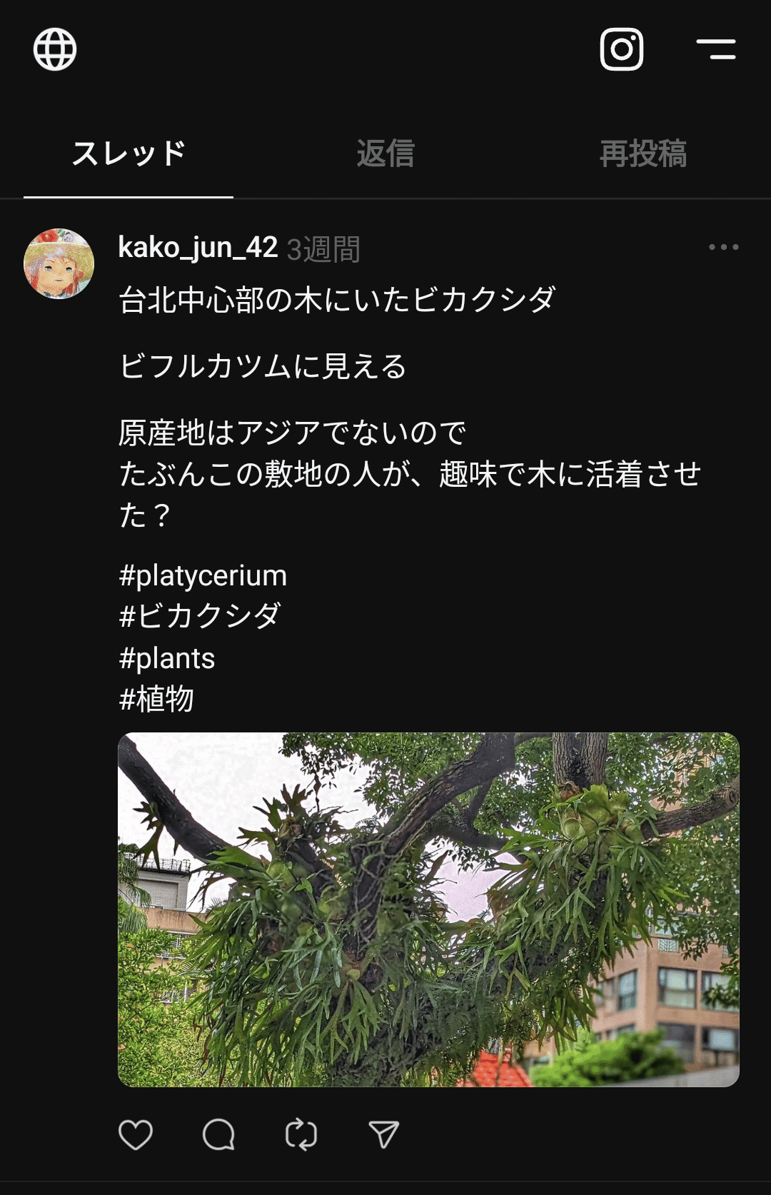 InstagramとThreadsとXとnoteで、できる連携、できない連携｜kako-jun