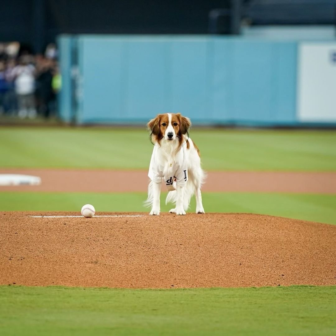 【視力矯正】☆ICL手術の全記録☆朝起きて、裸眼で美しい景色を沢山見よう☆Hiro