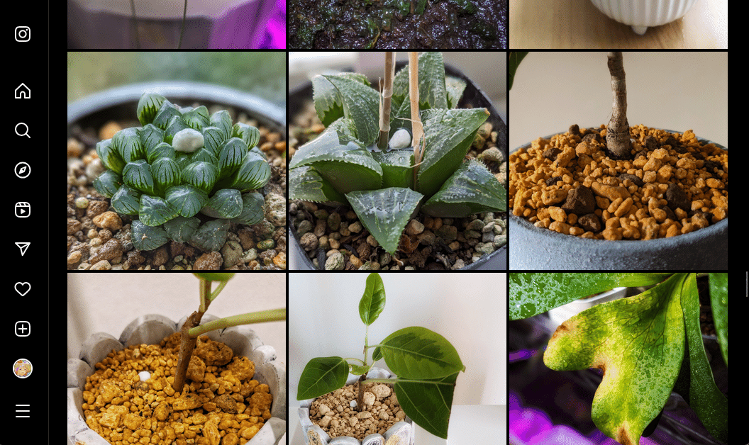 noteへのInstagramの埋め込み方は2通りあり、本文も少し埋め込める｜kako-jun