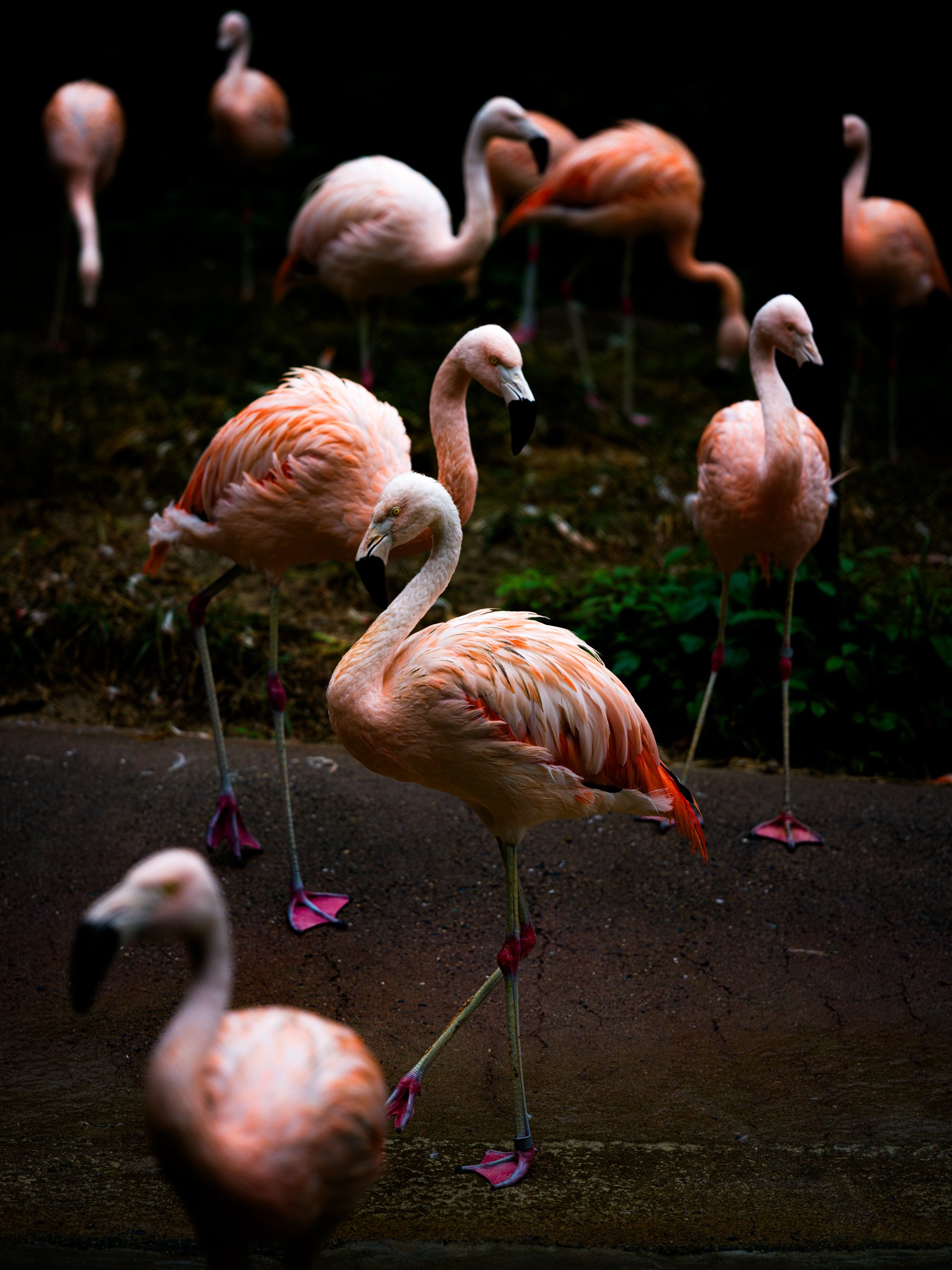 悪面集団｜YUTA録