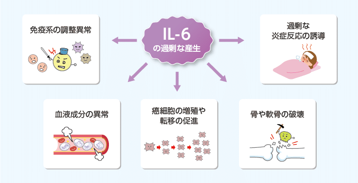 インターロイキン6（IL-6）の生理学的役割｜おからだ治療院