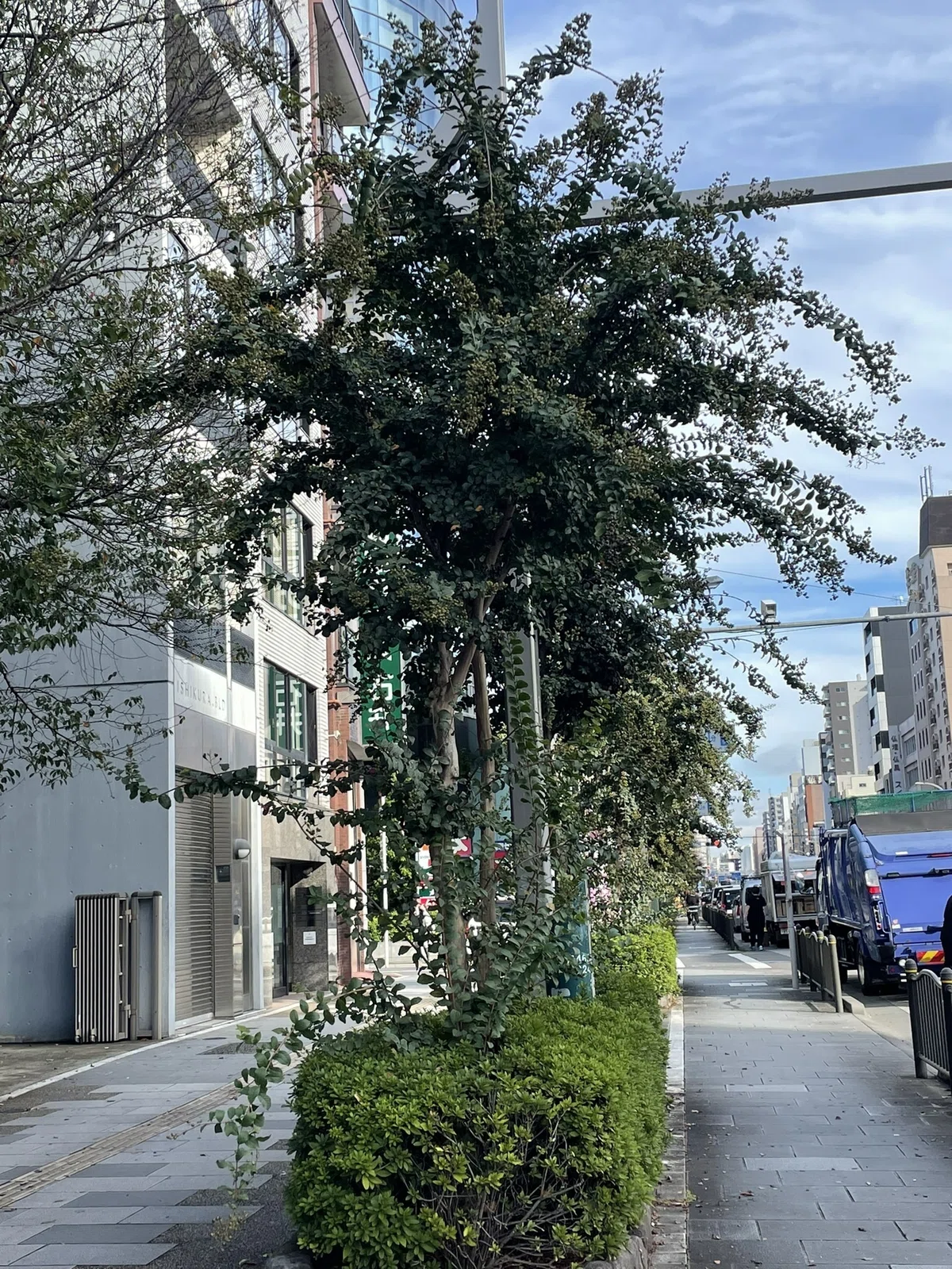 再会～3rd Reunion～｜キになるズ