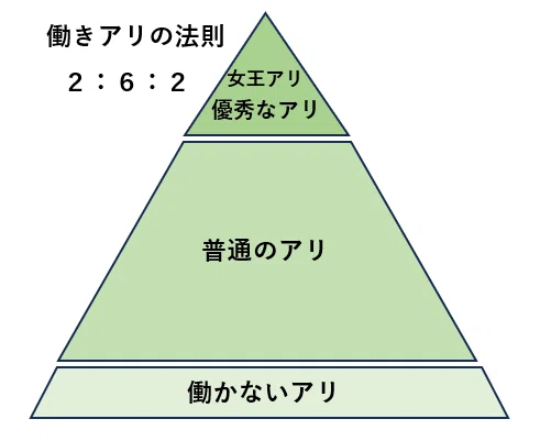働きアリの法則は現代の会社に当てはまるのか？～組織論からの考察～｜PROBLEM SOLUTION 広報 /経営・人事コンサルタント/大阪府