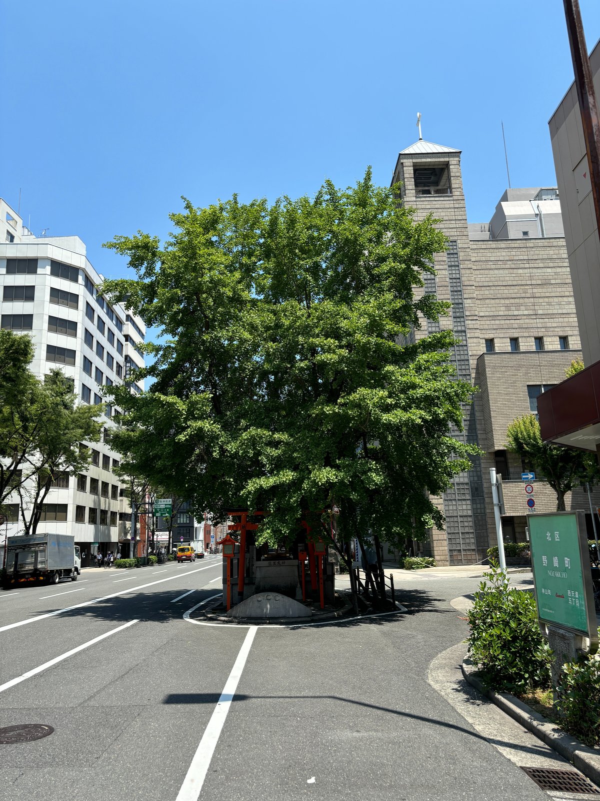 大阪・キタの2つの大イチョウ野崎町の龍王大神と中崎西の白龍大神の「巳（みぃ）さん伝説」｜Asakaho Luis Ryuta