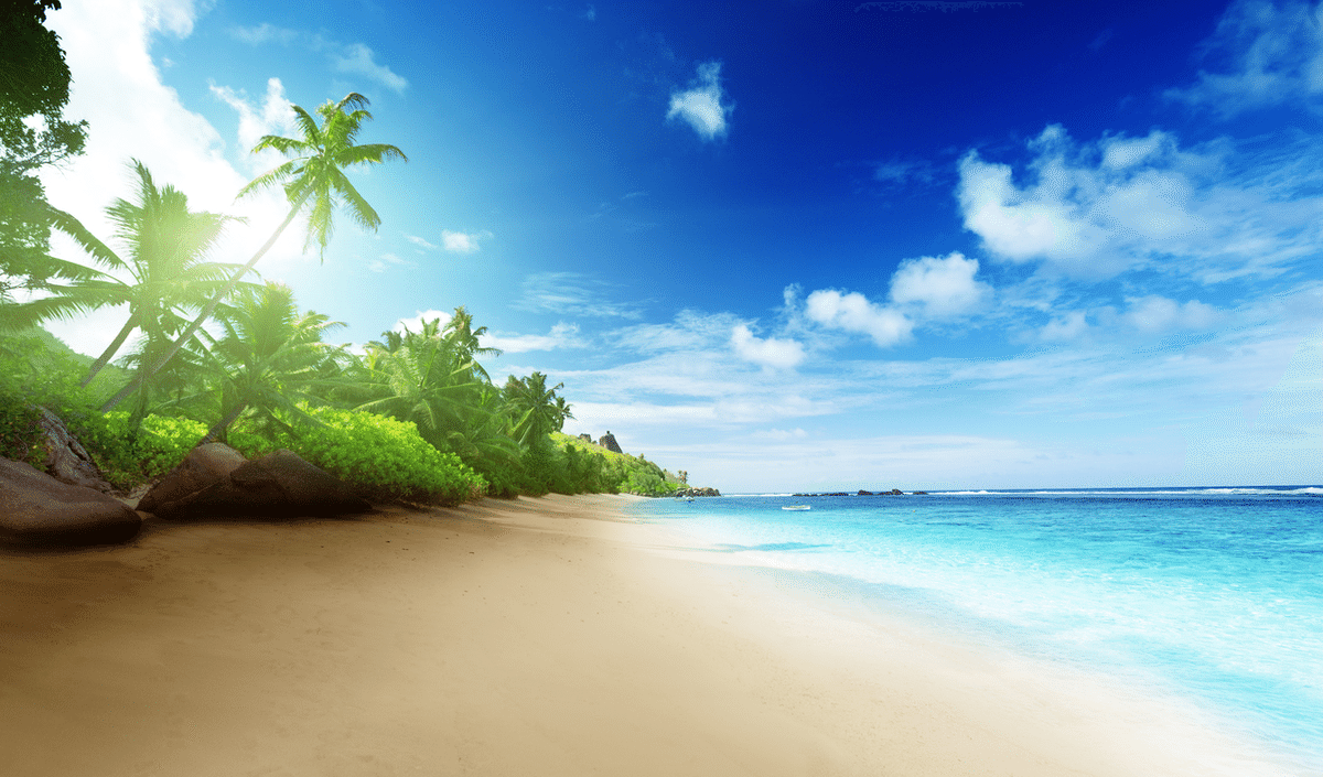 ゴンザレス鈴木のソロ・プロジェクトSOUL BOSSA TRIOの音楽を聴いていると心地よくなり癒される🎶🎶｜negomasa