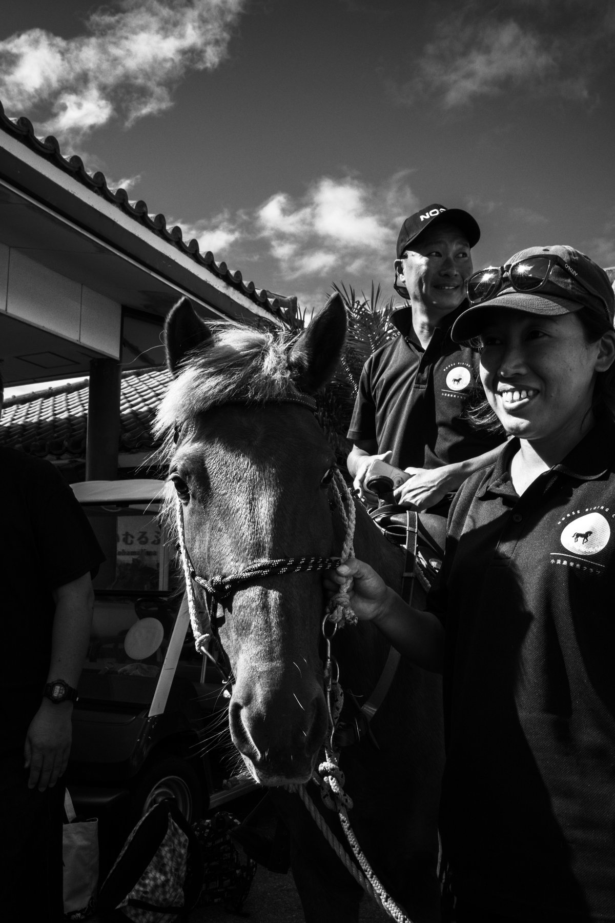 石垣の旅スナップ/GR3 〜お馬とビーチ｜Noki.jp|Buzzed photos