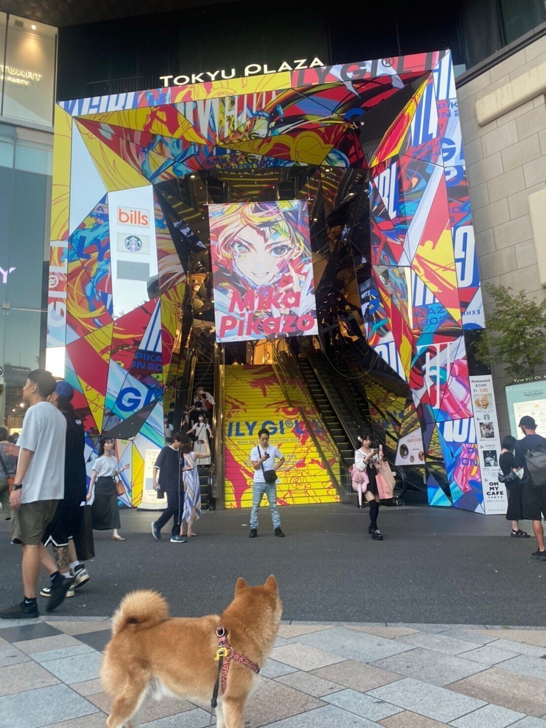 【柴犬】ワンちゃんと行く原宿オススメスポット！犬カフェ『&t cafe』と『代々木公園ドッグラン』｜Hiro＠フォロバ100