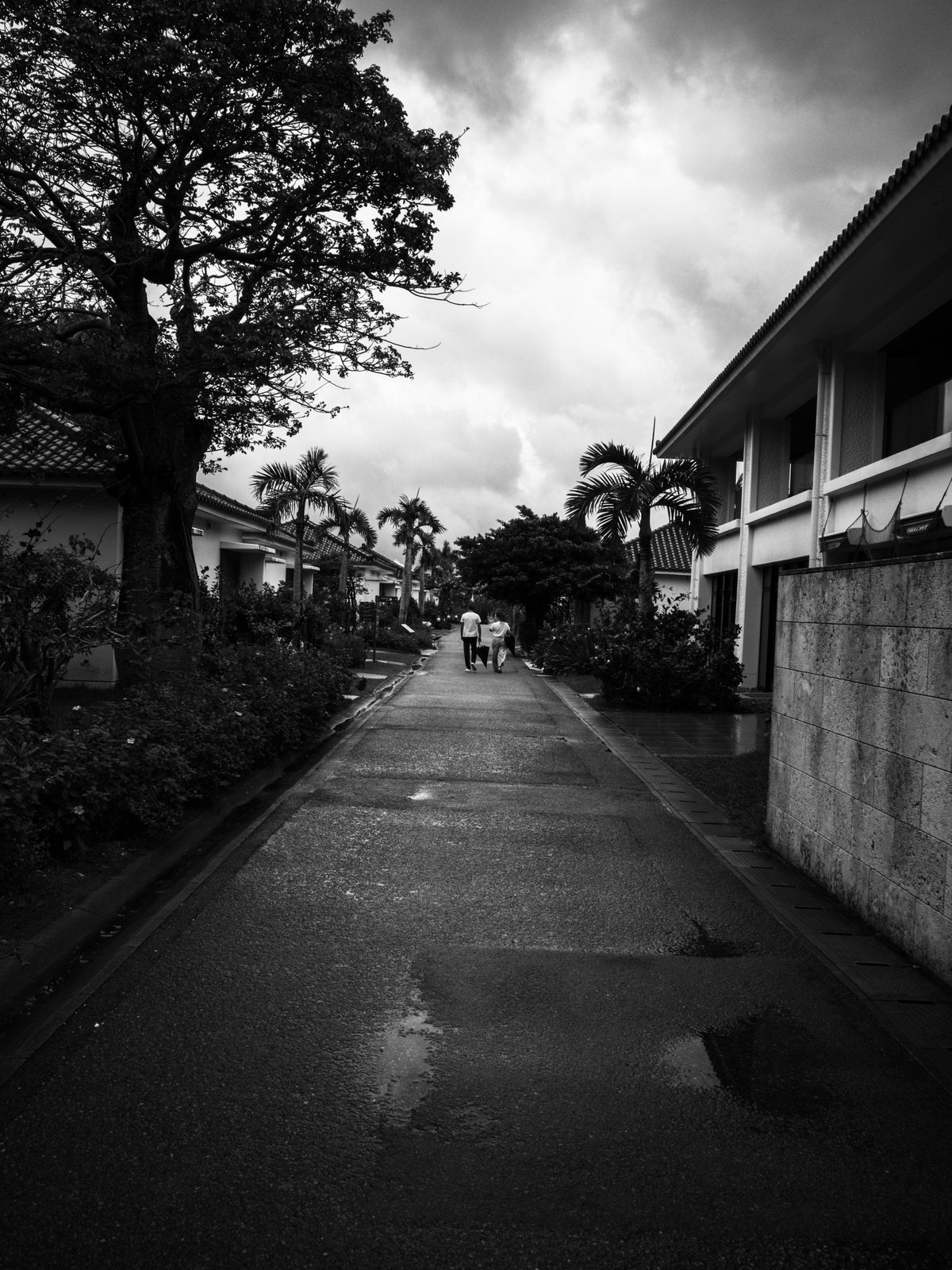 石垣の旅/GR3 スナップ作例｜Noki