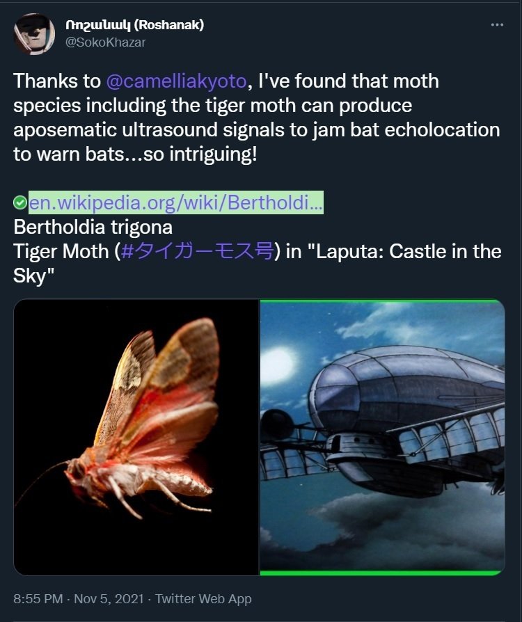 Echolocation｜Ռոշանակ (Roshanak)