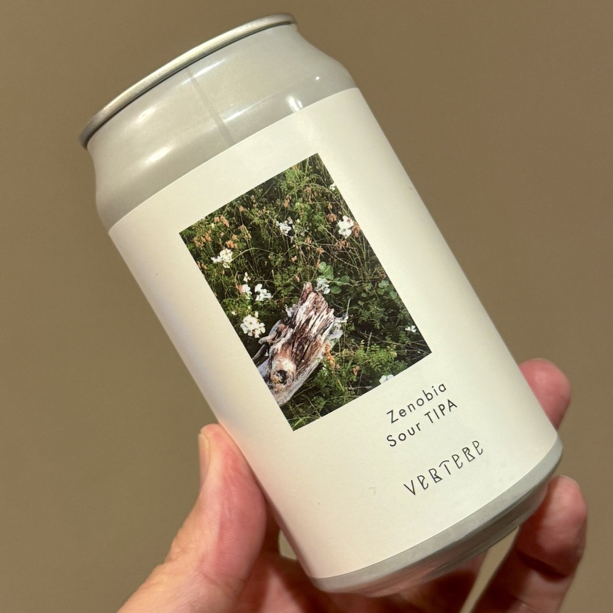 VERTEREの「Zenobia / ゼノビア」｜yamashin0120