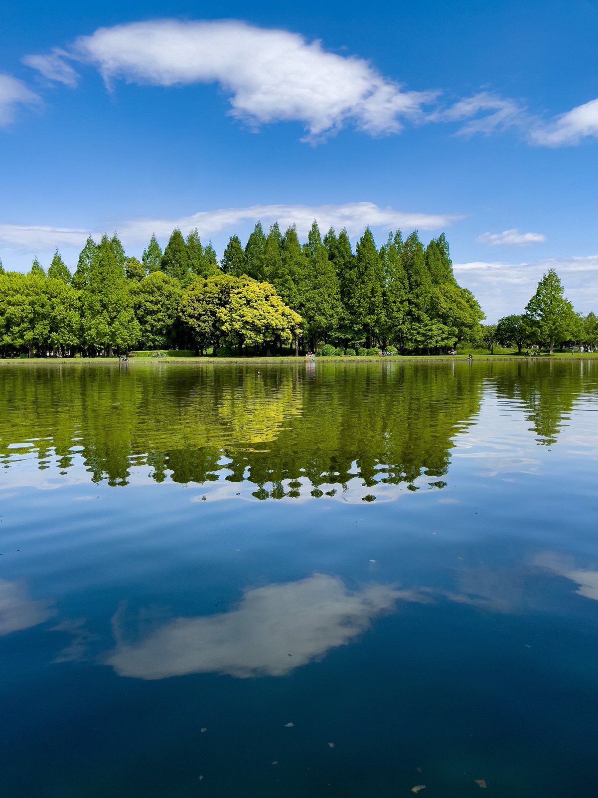 季節の空の色、届けます。｜rira