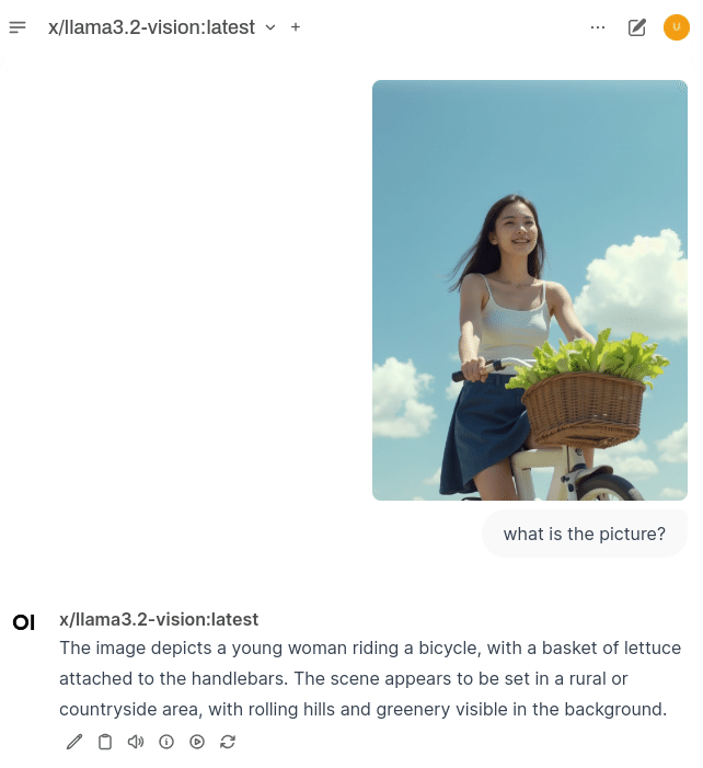 【Ollama】Llama3.2-visionを試した話【ローカルVLM】｜Catapp-Art3D