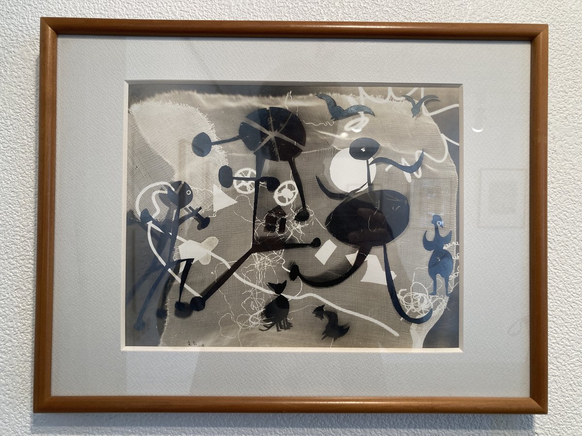 【WS 2024】瑛九のフォトデッサンに触れて2種類の日光写真を制作しました。｜Shunya.Asami NOTE