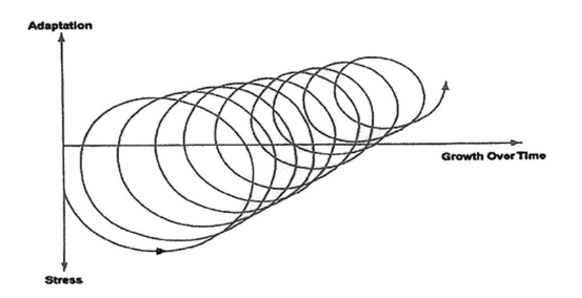 UかWかうずまきか。｜ころのすけ