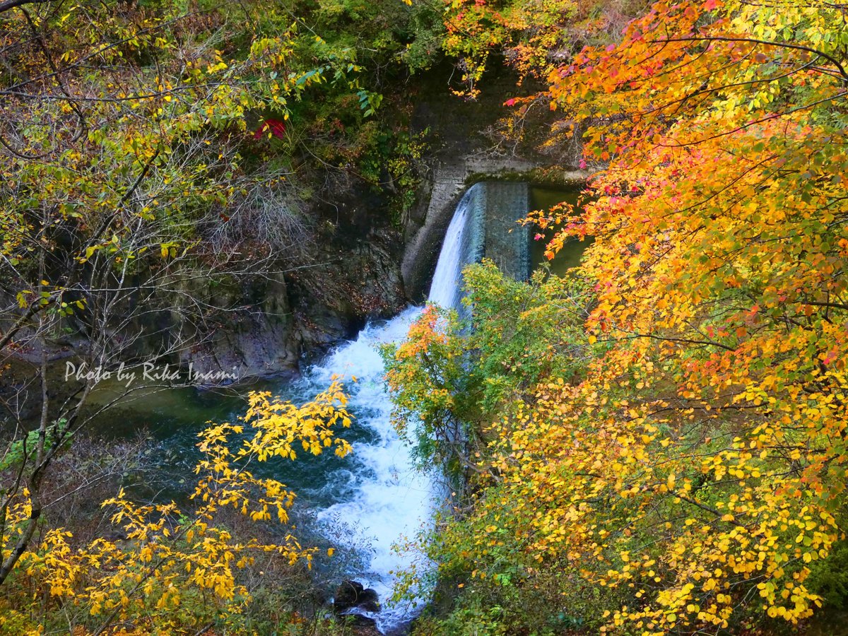 短歌 鳴子峡へ5首｜稲美 里佳 Rika Inami