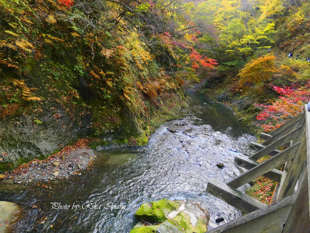 短歌 鳴子峡へ5首｜稲美 里佳 Rika Inami