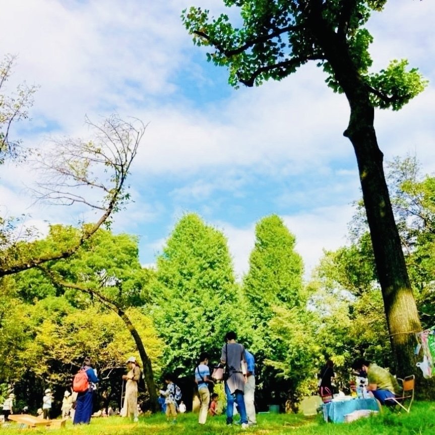 今年の遊びプロジェクト⑩「善福寺冒険王国」 #杉並区 ｜cfooプロジェクト 東京都 子供の「遊び」推進事業