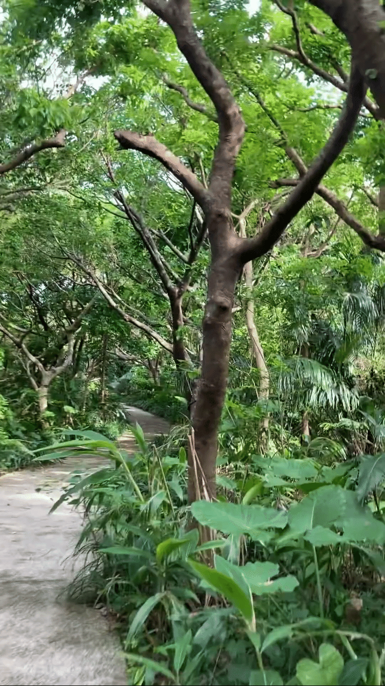 【連載】RYUKYU SOUL, HUMAN SOUL #11 首里城④｜Chieri Minami/ 智笑莉