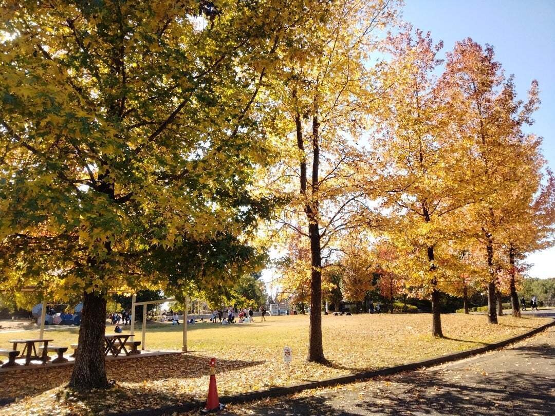 イラスト日記/今日のスケッチと新作のお知らせ｜nao kamimura