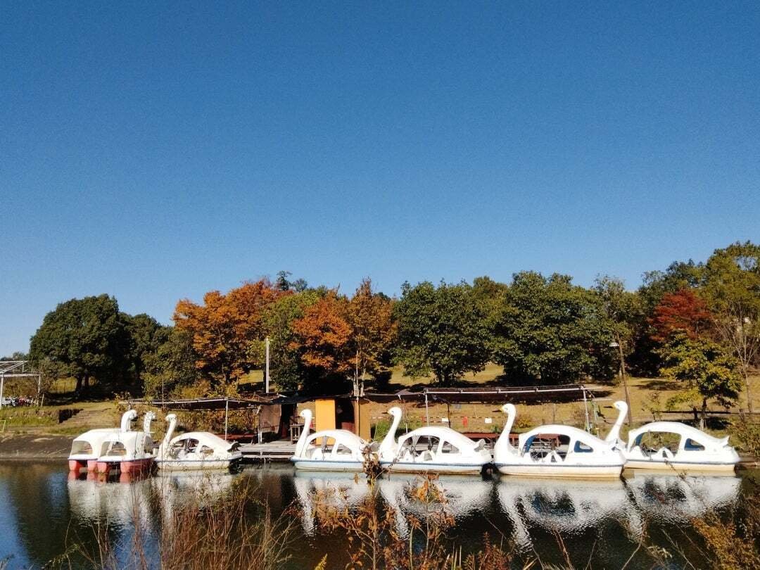 イラスト日記/今日のスケッチと新作のお知らせ｜nao kamimura