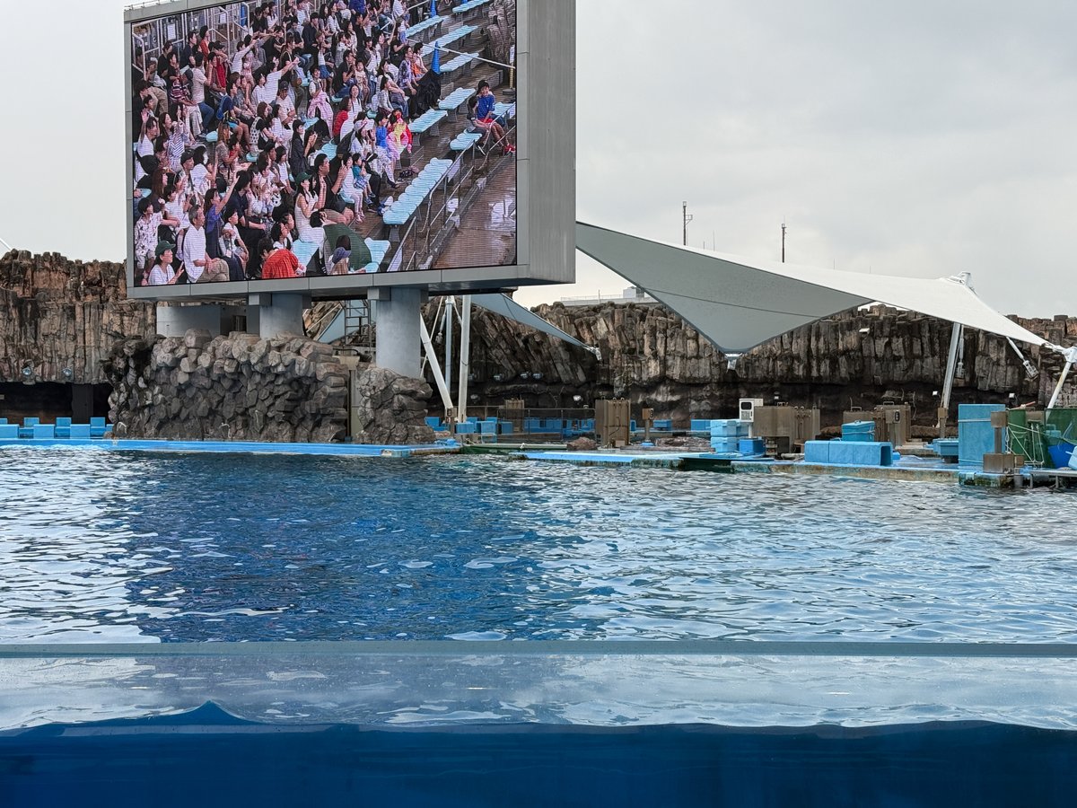 運動会に5倍ズームのiPhoneは最適か？｜Pal9000