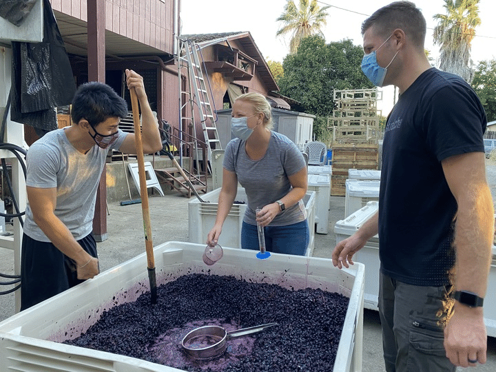 【サンセットセラ―ズ】2024年冬の配送に関するお知らせ｜SUNSET CELLARS