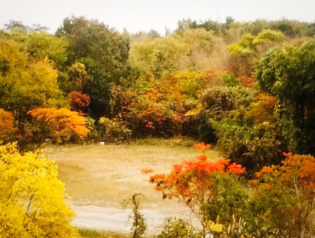 新作「家の灯りがともるころ」｜nao kamimura