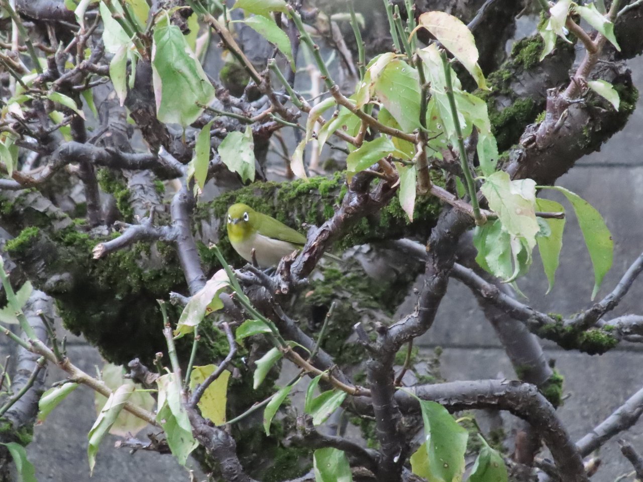 ExportControl｜note