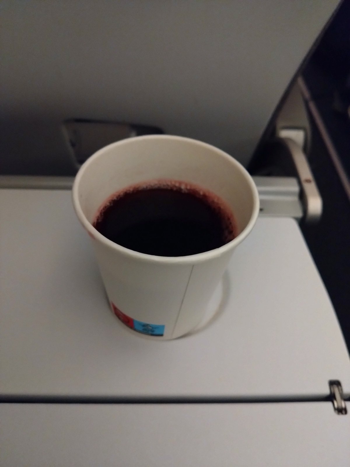 行きの飛行機編【初海外、パリへ行く】｜t09_hrk