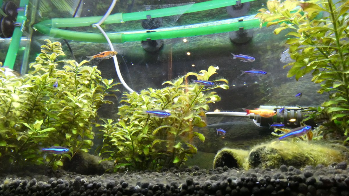 [explorica pen]/0.5mm｜サービスエリアのカフェオレ