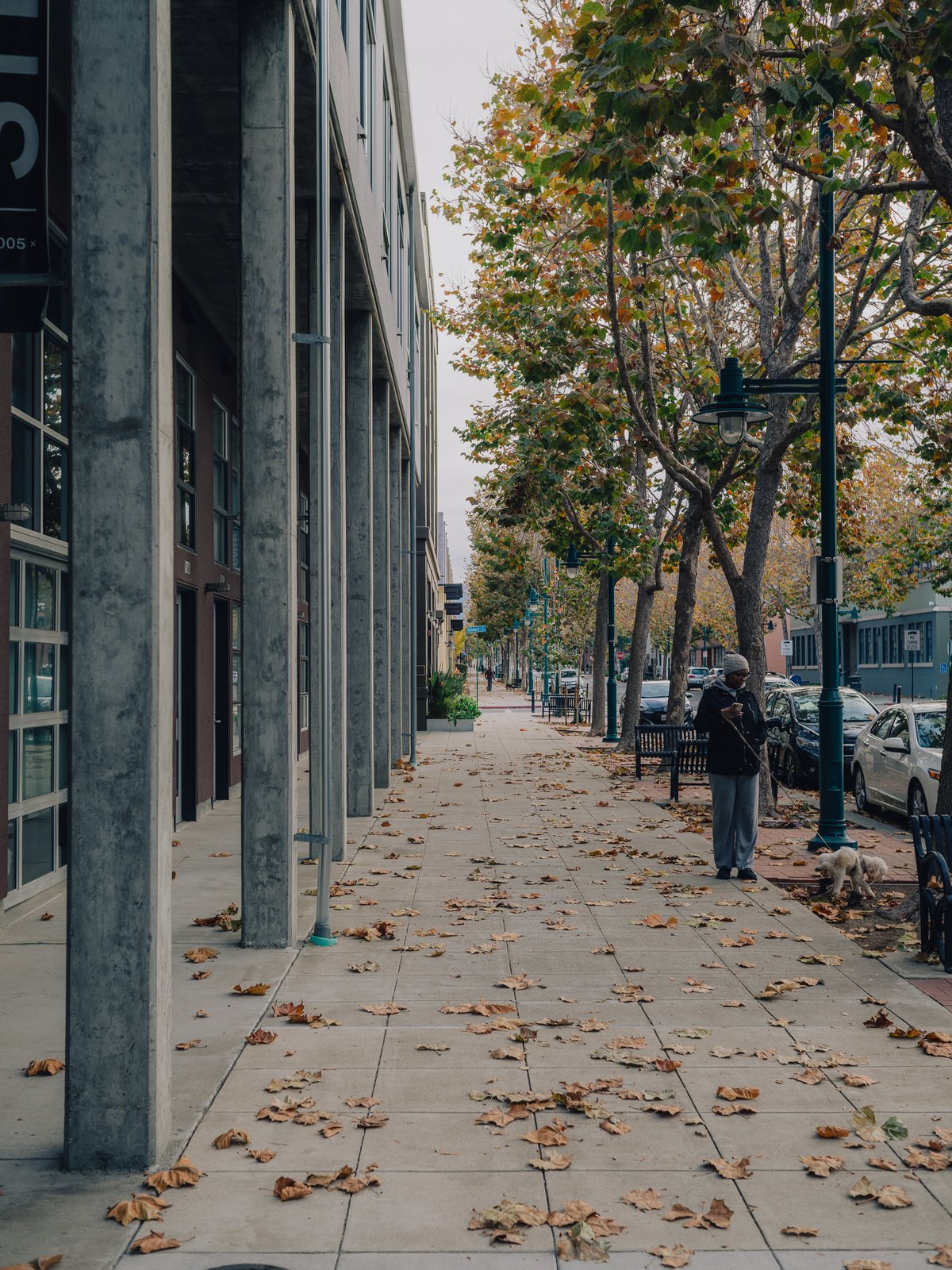 秋を感じる朝散歩｜helloryuji