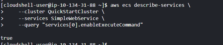 速攻で起動させたECSタスクの中でbash する(execute-command)｜mocotech
