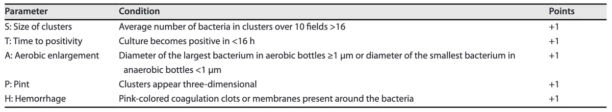 Staphylococcus argenteusについて｜kohei hasegawa