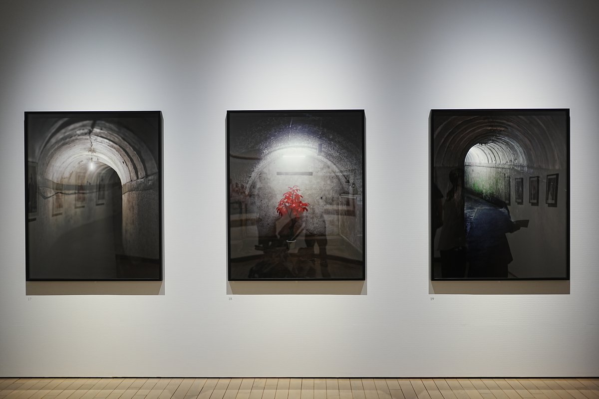 【展覧会レポ】東京都写真美術館「アレック・ソス 部屋についての部屋」｜Naota_t