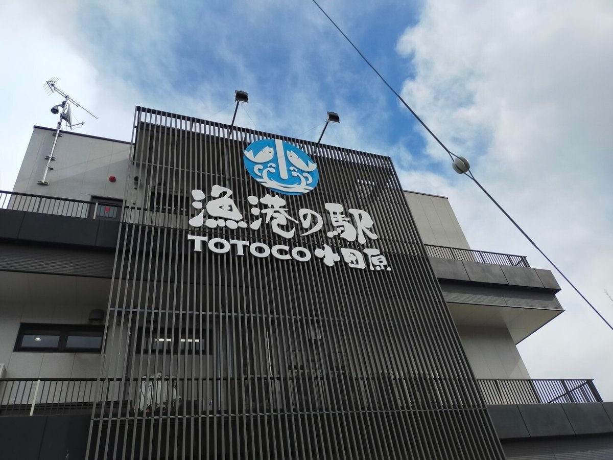 道の駅ではなく漁港の駅！？〜TOTOCO小田原〜｜みずくらげ＠リゾバ