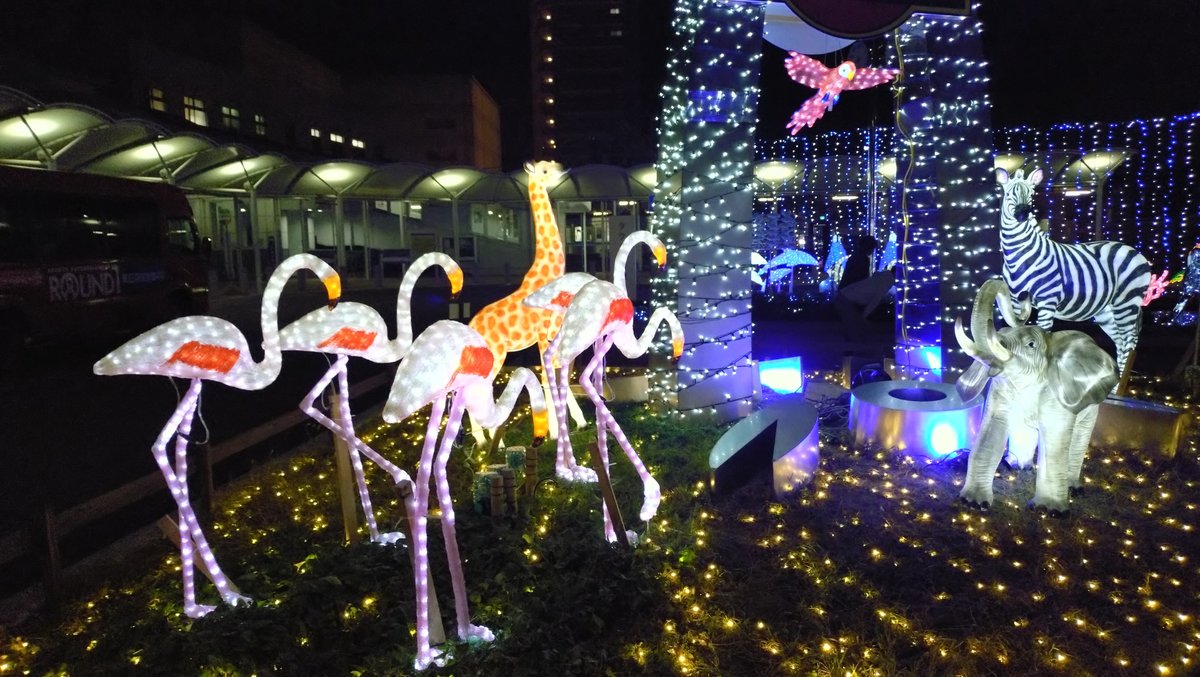 NIGHT OASIS 2024｜HRSD-note