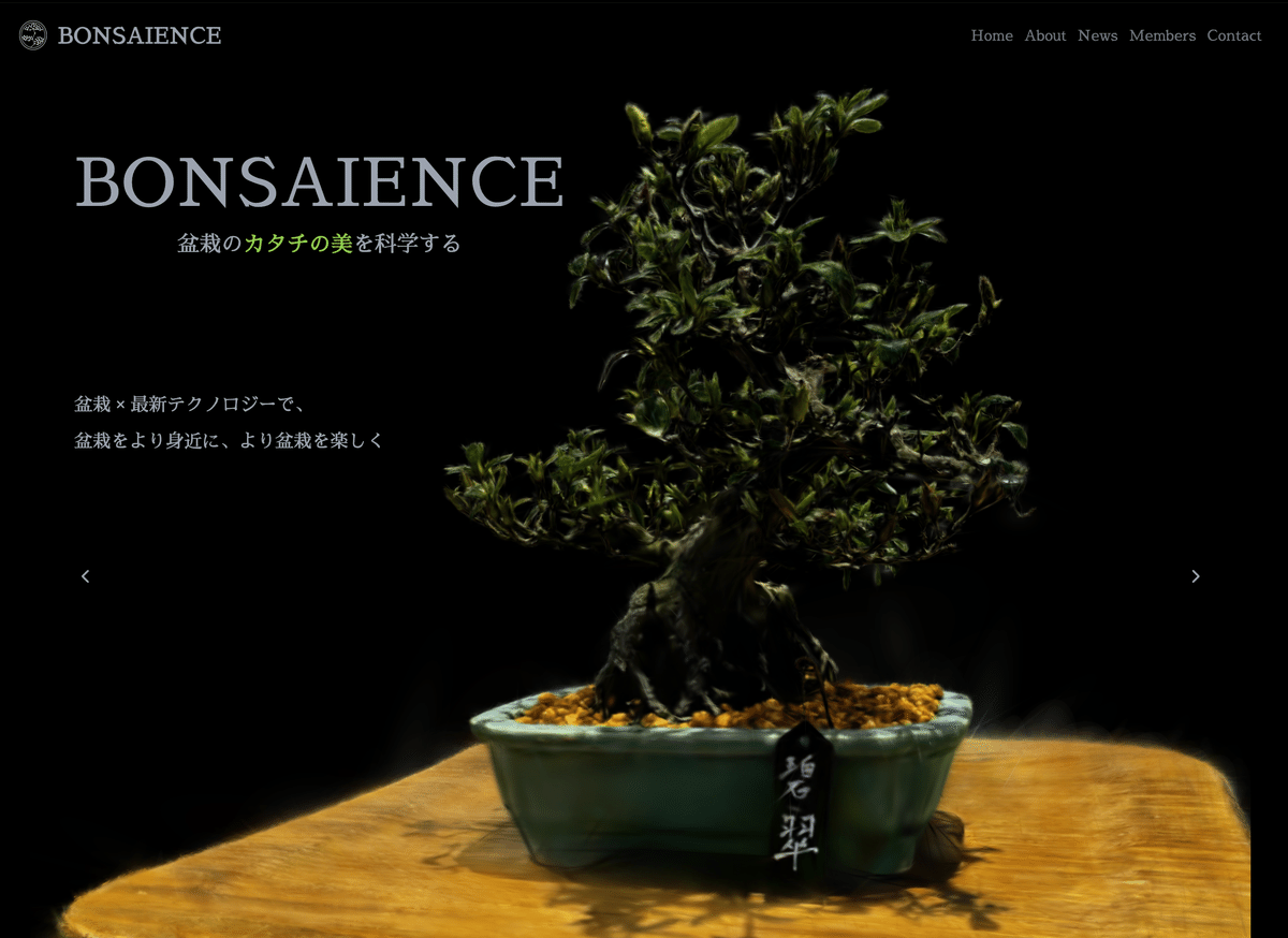 Vol.26 松岡 伸龍 ｜自然とｲｯﾇが大好きな盆栽プログラマー博士｜くまだいハブ｜KUMADAIHUB｜＠熊本大学